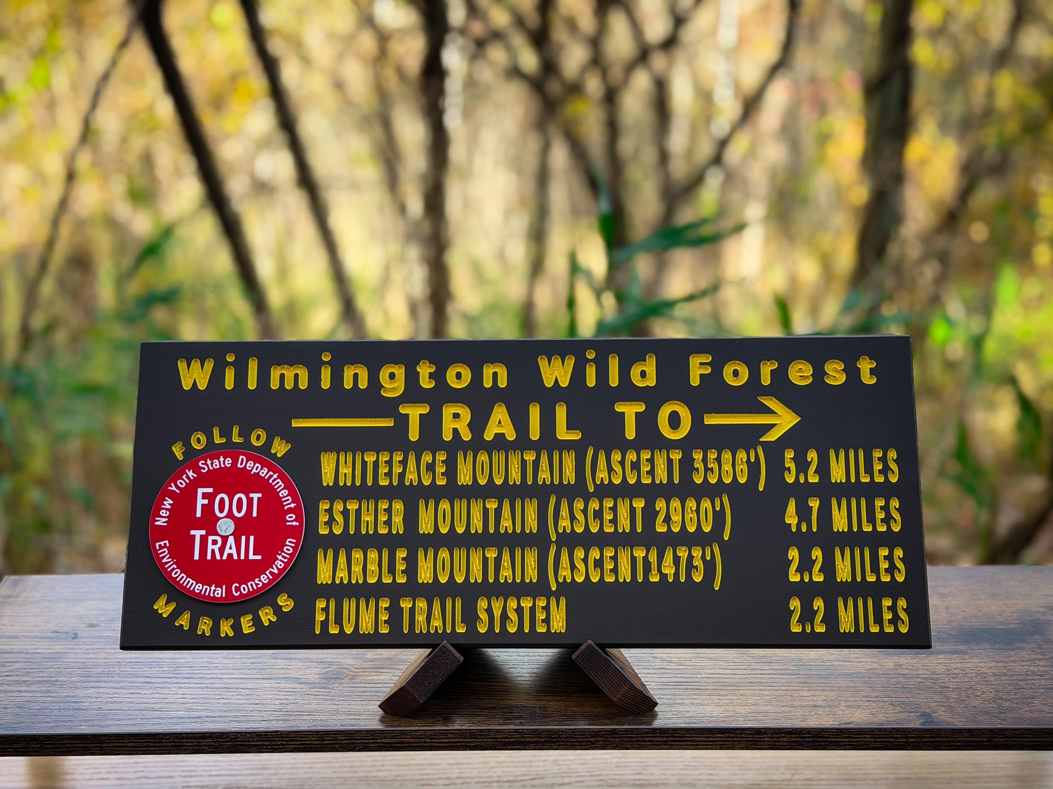 Whiteface & Esther Trail Sign – Rooted in Upstate